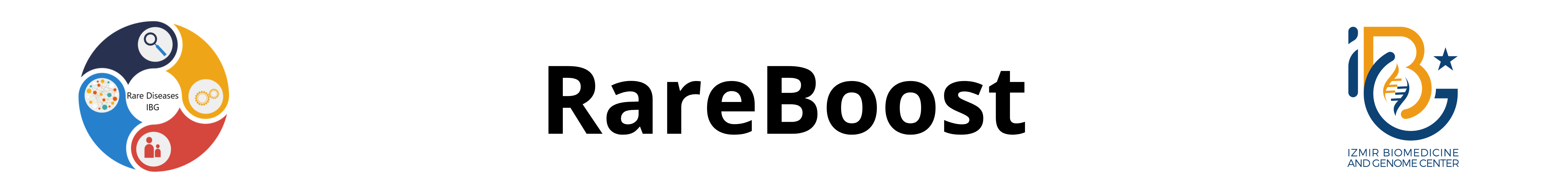 RB-Banner – RareBoost