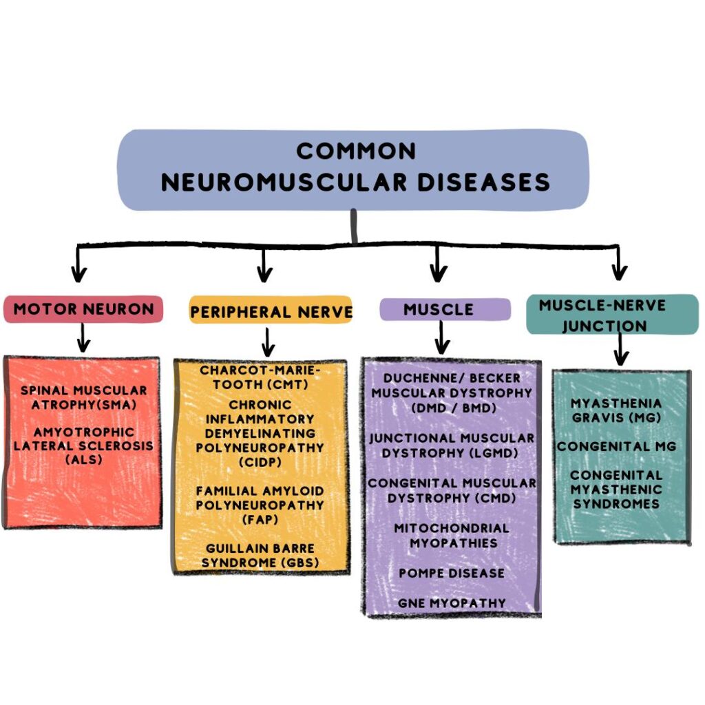 An Interview on Neuromuscular Diseases with Prof. Uluç Yiş – RareBoost